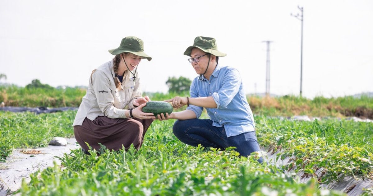 FAQs | The Australian Volunteers Program