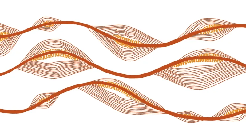 Our visual identity | The Australian Volunteers Program