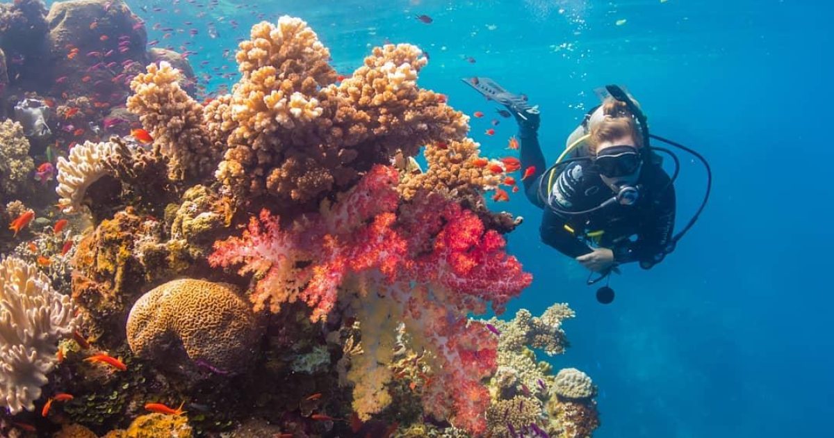 Conserving coral reefs in Fiji | The Australian Volunteers Program