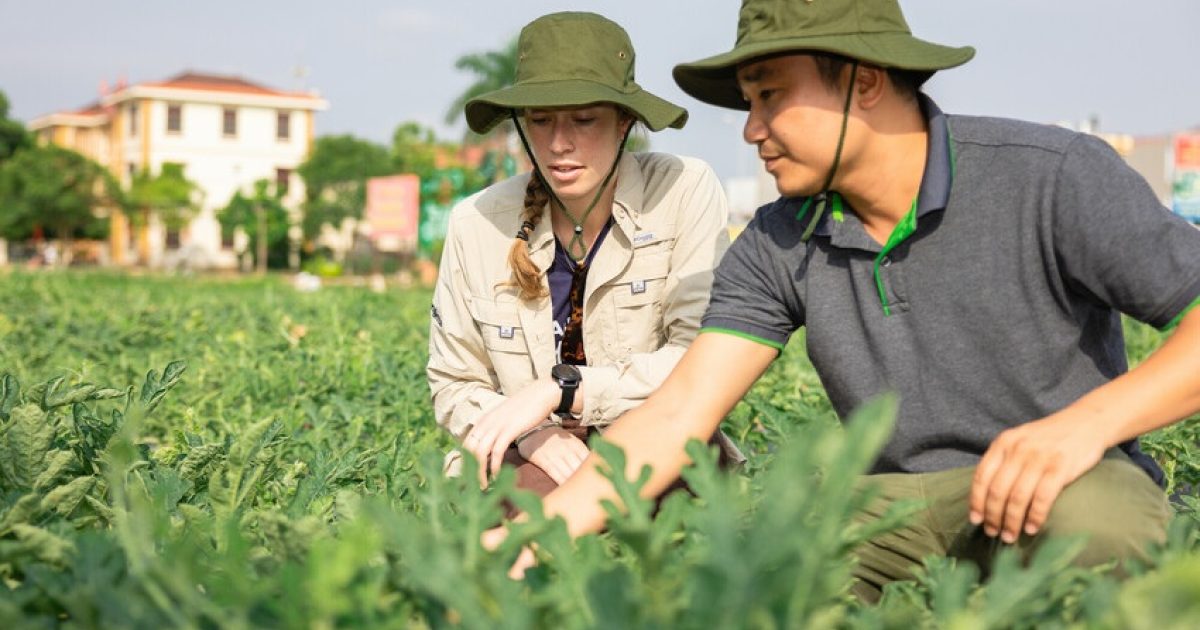 Hybrid volunteering | The Australian Volunteers Program